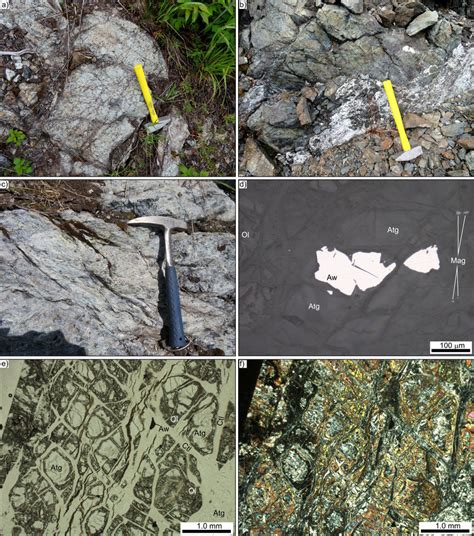 A An Outcrop Of Light Grey Weathering Homogeneous Serpentinite B Download Scientific