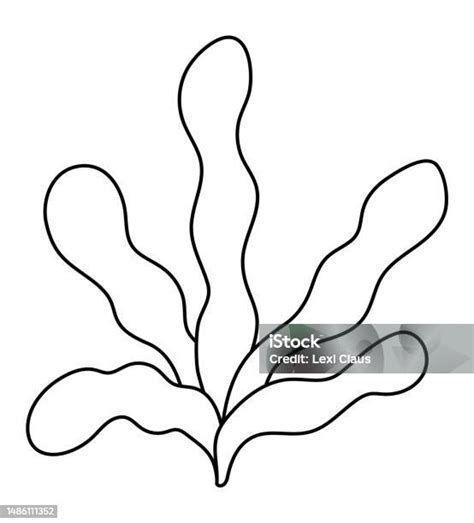 벡터 흑백 해초 아이콘입니다 귀여운 다시마가 있는 바다 선 그림 아래 해양 식물 클립 아트입니다 어린이를 위한 수중 또는 해양 클립 아트 또는 색칠 공부 페이지 0명에 대한