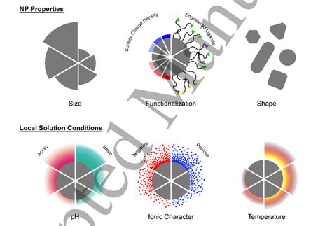 Physical Factors Influencing The Aβ Aggregation Process In Np Aβ