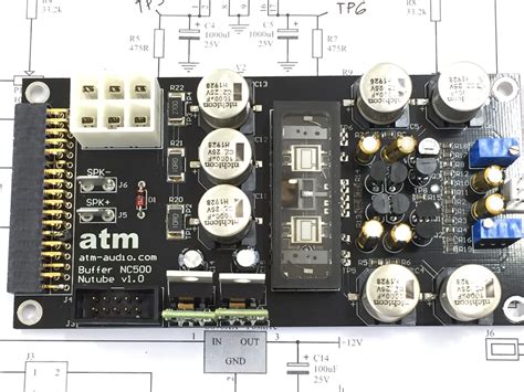 Input Buffer For Hypex And Purifi Audio With Triode Korg Nutube Updated