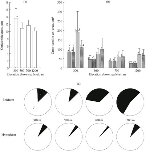 Morphometric Parameters Of Malus Domestica Fruits Outer Tissues A Download Scientific