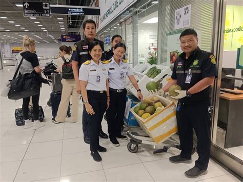 กรมวิชาการเกษตรเตือน นักท่องเที่ยวเทศกาลหยุดยาวเลี่ยงซื้อผลไม้สด ย้ำนำเข้าประเทศต้องมีใบรับรอง