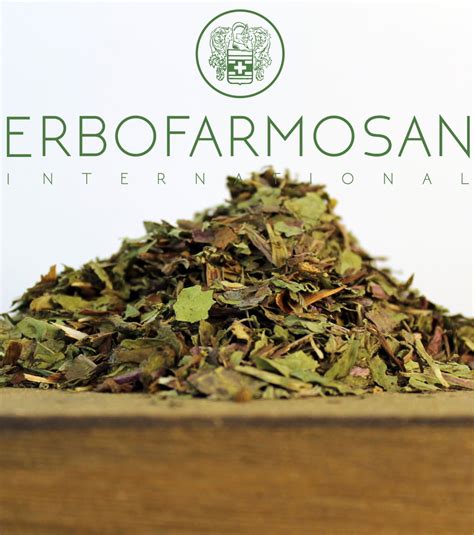 Tarassaco Foglie Erbofarmosan