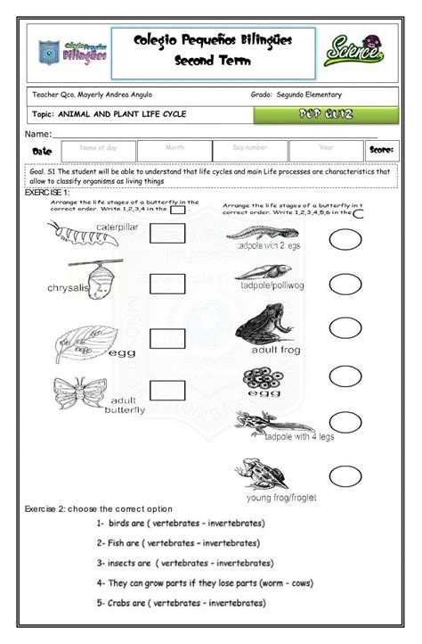 Life Cycle Of A Plant Worksheet 2nd Grade