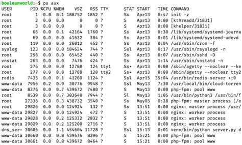 How To Kill A Process In Linux Boolean World