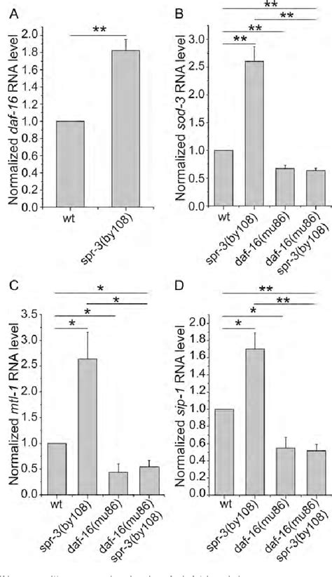 Figure 5 From A C Terminal Truncated Mutation Of Spr 3 Gene Extends
