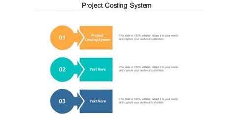 Project Costing System Ppt Powerpoint Presentation Styles Examples