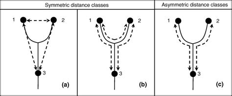Symmetric And Asymmetric Distance Classes The Stream Network Is Download Scientific Diagram