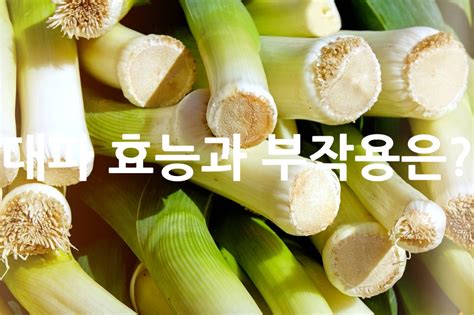 대파 효능과 부작용은 생활속 꿀팁