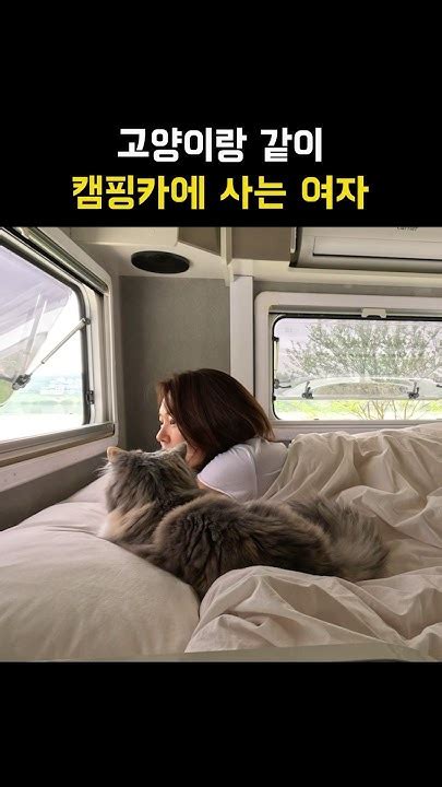 캠핑카에 사는 중 Youtube