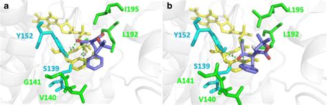 different binding modes of 1a docked in the wt and musdr nadh is shown