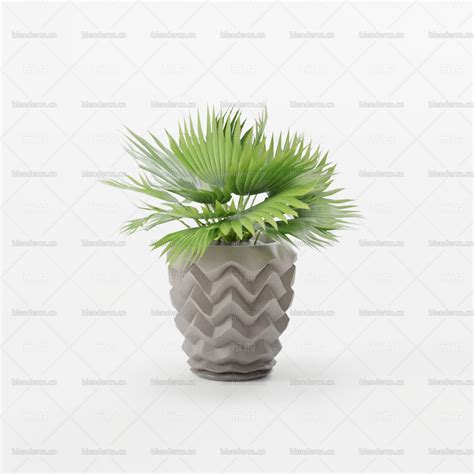 Blender模型布线拓扑插件 Nsolve V0 0 7 Blender布的