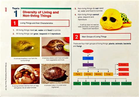 SOLUTION: Diversity of living and non living things - Studypool