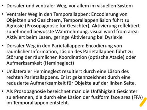 24 27 Assoziationskortex And Gedächtnis Karteikarten Quizlet