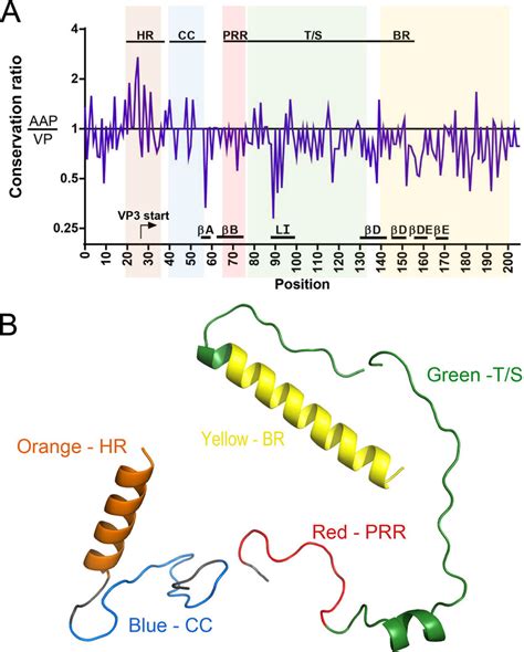 Bioinformatic Analysis Of Aap And Vp Conservation And Homology Modeling