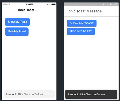 Ionic Toast Messages Using Toastcontroller In Ionic 5 Applications