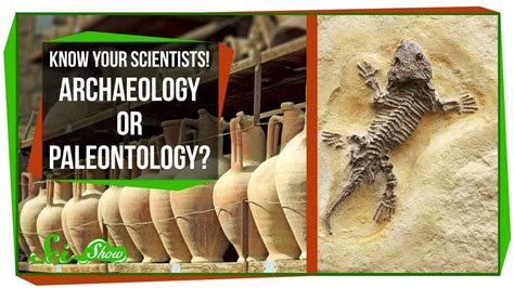 Paleontology Definition Biology [the Predictive Fossil Record