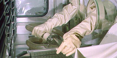 Spore Propagation Vogelbusch Biocommodities