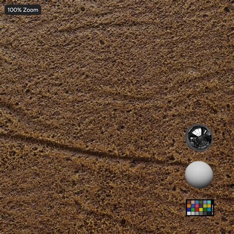 Gingerbread Cookie Back Texture Poliigon