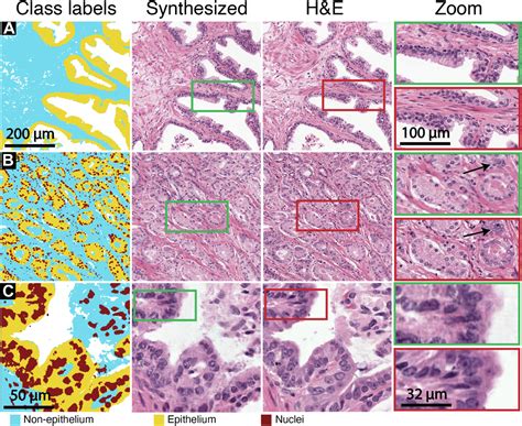 Positive Impact Of Deepfake Technology In Science — Antispoofing Wiki