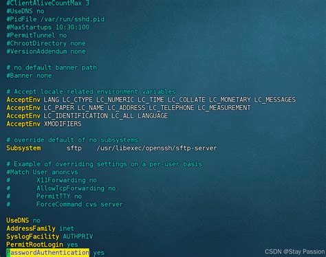 linux指令篇：ssh ssh命令 csdn博客