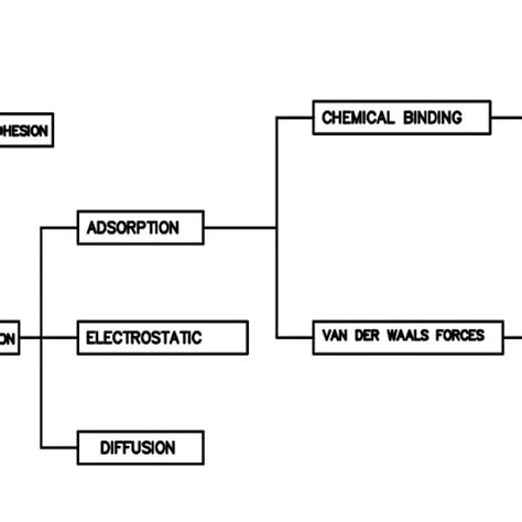 Adhesion Types And Models Based On [3 4 6] Download Scientific Diagram