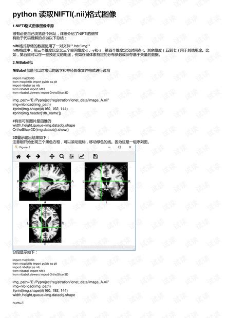 python读取nifti nii 格式图像 nii数据处理资源 csdn下载