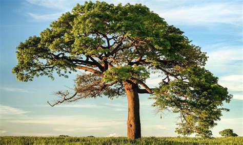 Stephanie Mello On Linkedin 4 Ways To Foster A Devsecops Culture At