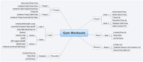 Gym Workouts Xmind Mind Mapping Software