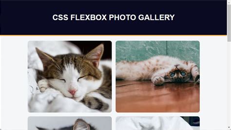 Kengle Pierrette On Linkedin Learn Css Flexbox By Building A Photo