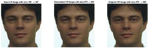 Figure 1 From A Novel Facial Image Resolution Enhancement Algorithm Using Pixels Homogeneity