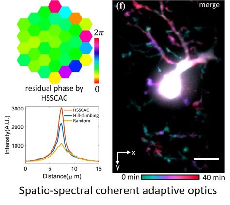 Computational Nonlinear Optical Microscopy Limit Tsinghua University