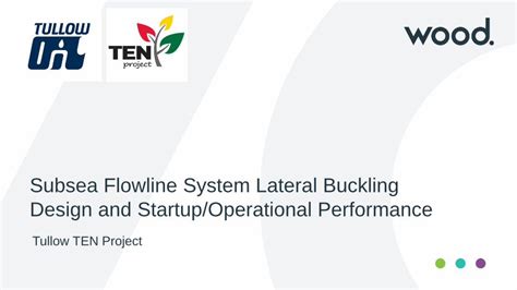 Pdf Subsea Flowline System Lateral Buckling Design And Startup · Supporting Across The