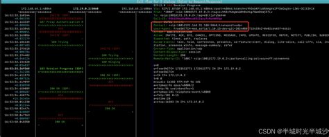 freeswitch新手探索 30秒挂断问题 freeswitch 30秒自动挂断 csdn博客