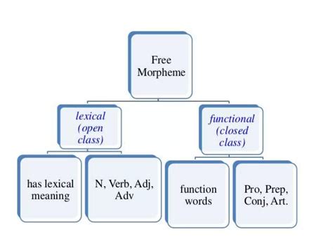 Morphology 150301031003 Conversion Gate01 Pptx Geology Science