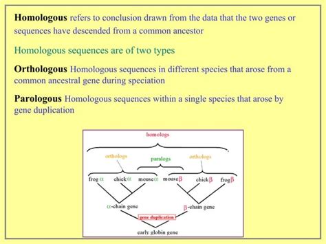 Sequence Alignment Belgaum Ppt