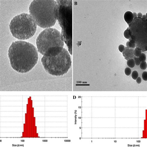 Structural And Morphological Features Of Fabricated Nanostructures Were
