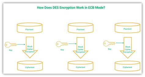 What Is Des Encryption A Look At The Des Algorithm Infosec Insights What Is Des Encryption A Look At The Des Algorithm Infosec Insights