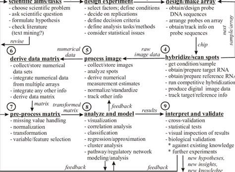 Microarray Data Analysis Process The Big Picture Download Scientific Diagram