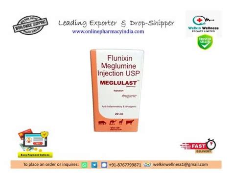Sureflu Nix Flunixin Meglumine Injection Usp 20 Ml At Rs 77 In Nagpur