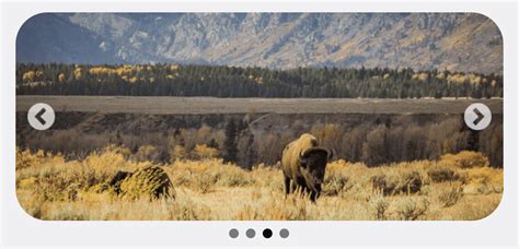 Create Your Own Slideshow Themes With Metaslider Metaslider