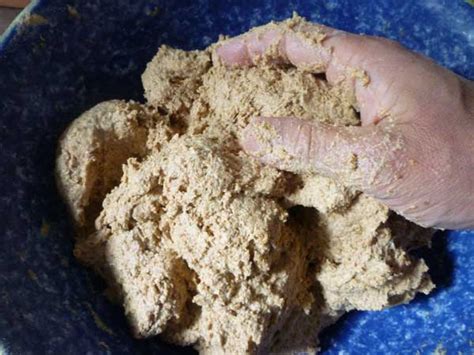 Exorphin Junkie Sex Bread Better Than Viagra For Prolonged Erections