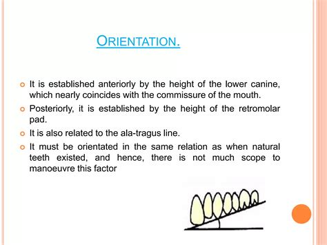 Occlusal Planes And Compensating Curves Pptx