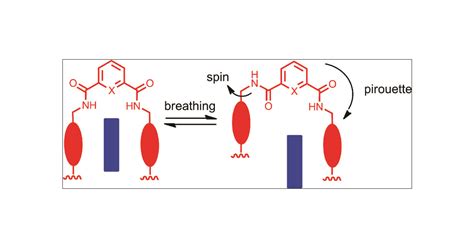 macrocycle breathing in [2]rotaxanes with tetralactam macrocycles the