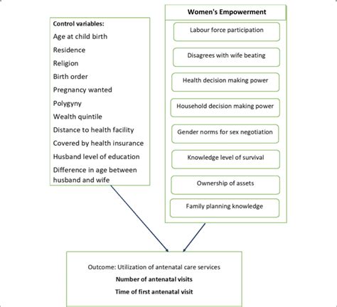 Conceptual Framework Of The Association Between Womens Empowerment And