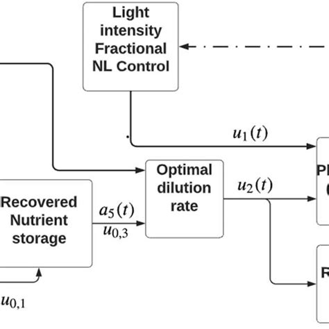 schematic diagram of the process and the problem to be solved
