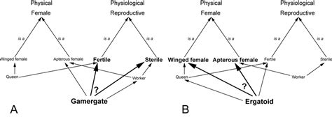 schematic relational structure combining two distinct conceptual