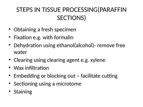 Staining In Anatomy And The Fetal Development Ppt