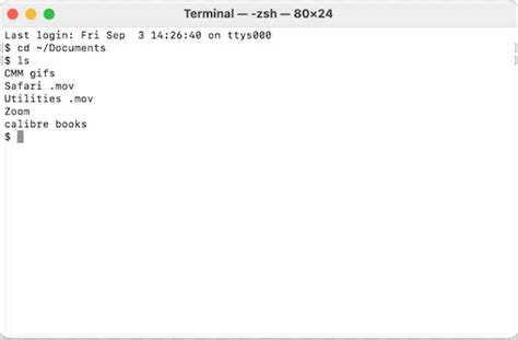 essential mac terminal commands every developer should master by