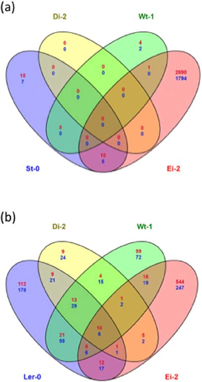 Venn Diagrams Illustrating The Similarities In Gene Expression Patterns Download Scientific